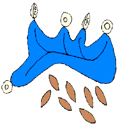 CHAPANTONGO, ALMA Y COLUMNA DEL ESTADO DE HIDALGO, QUE SIGNIFICA EN EL ...
